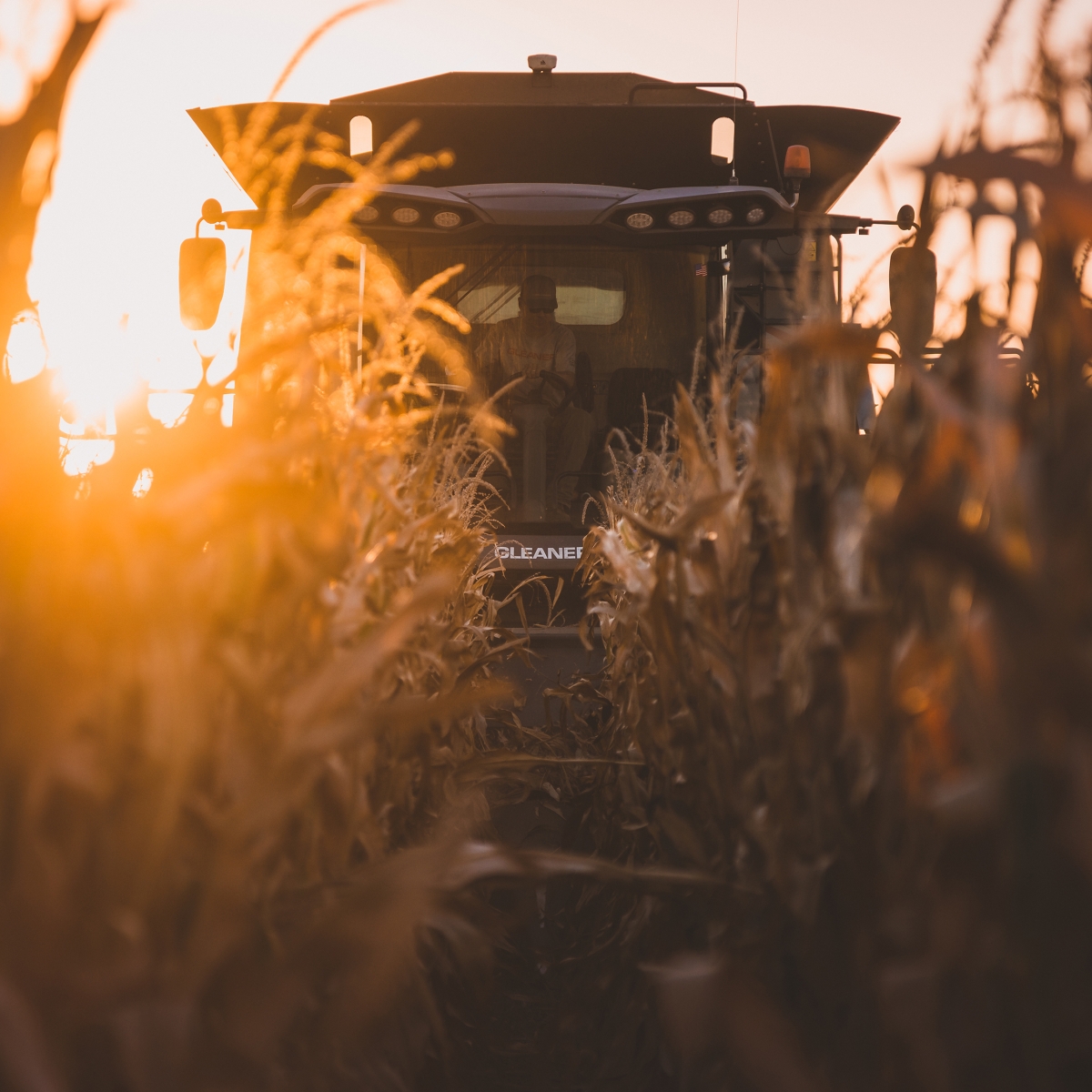 Kubota L4802 Vineyard (Blue sky) – Second Shift Design